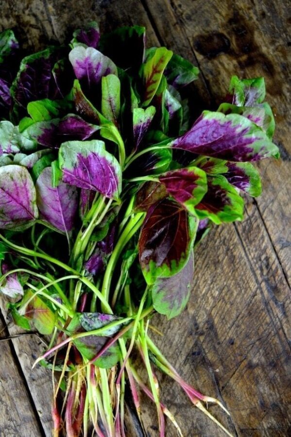 Stir-fried Pink Amaranth Greens - The Woks of Life