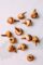 Cantonese Braised Pork Belly with Arrowhead Root - The Woks of Life