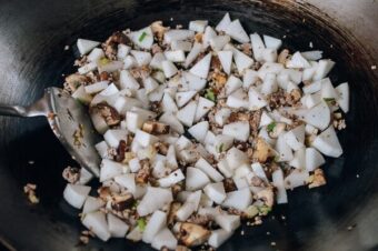 Easy Braised Turnip Rice Bowls - The Woks of Life