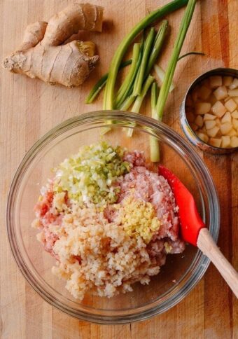 Chinese Pearl Meatballs with Sticky Rice (珍珠丸子) - The Woks of Life