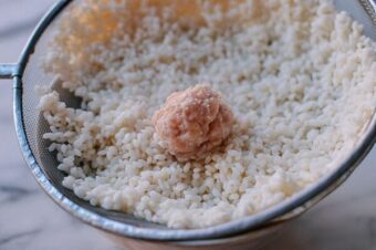 Chinese Pearl Meatballs with Sticky Rice (珍珠丸子) - The Woks of Life