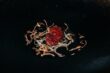 Sichuan Beef, Dry-Fried - The Woks of Life