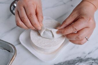 How to Fold a Chinese Dumpling (4 Techniques!) - The Woks of Life