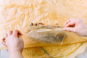 Chinese Vegetarian Duck (素鸭) - The Woks of Life