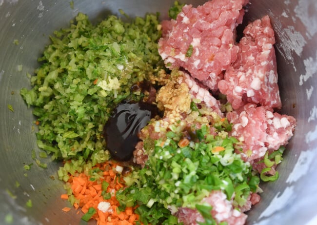 Pork and Celery Dumplings - The Woks of Life