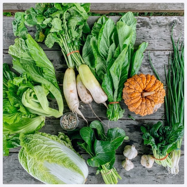 How to Grow Chinese Vegetables - The Woks of Life