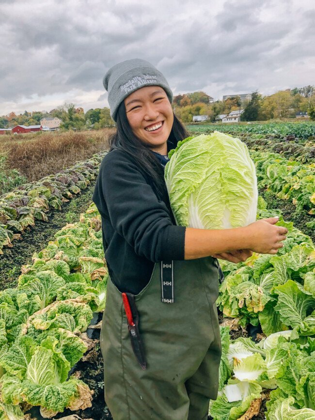 How to Grow Chinese Vegetables - The Woks of Life