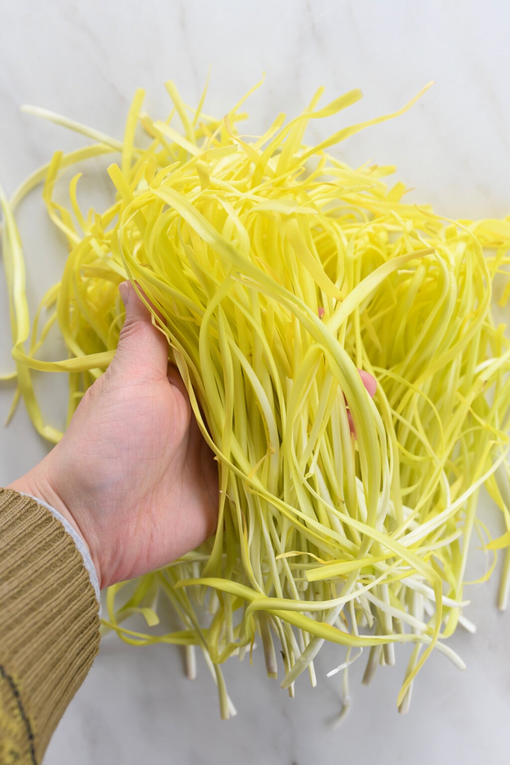 How to Grow Chinese Garlic Chives - The Woks of Life