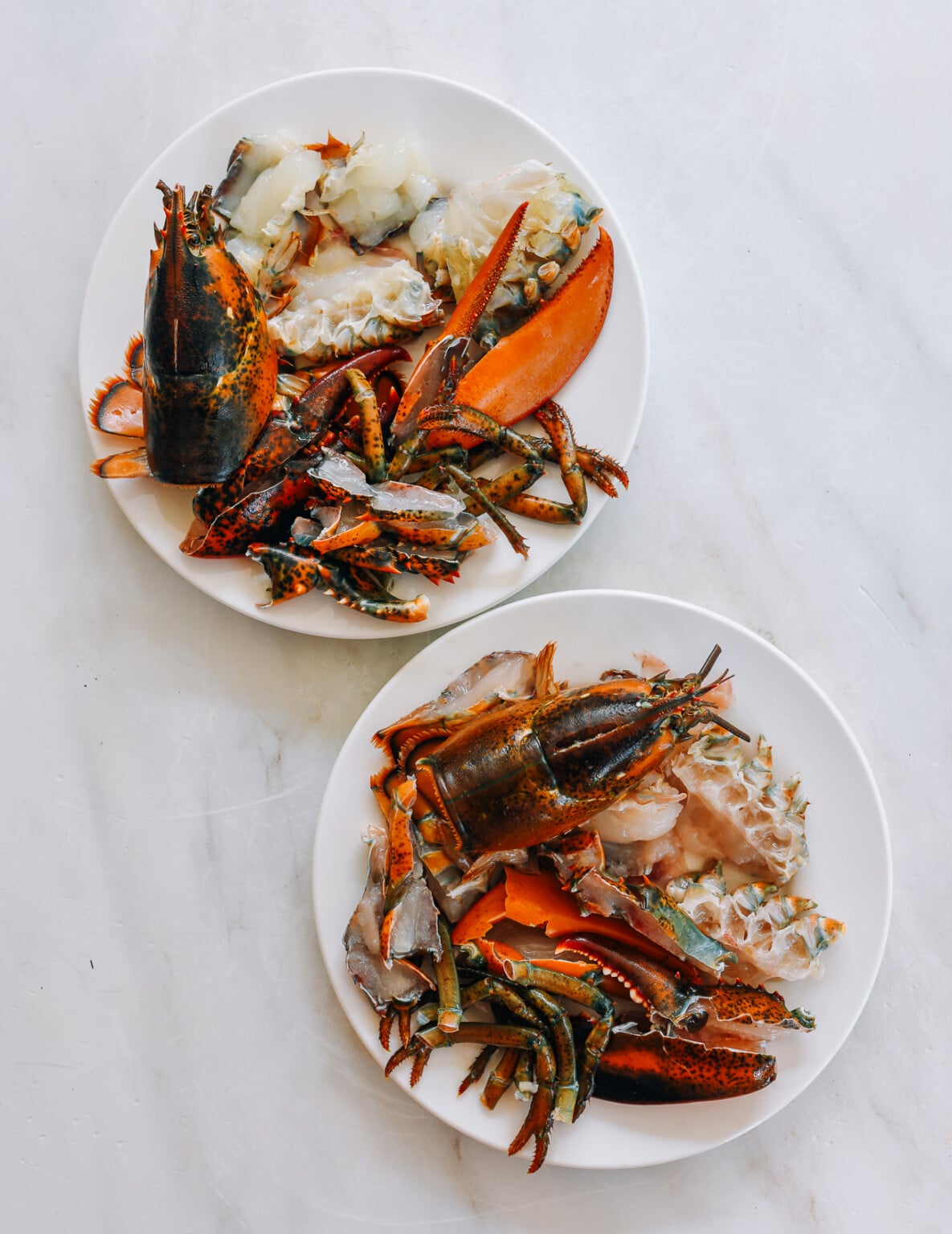 Lobster Noodles (Yee Mein / E-Fu Noodles) - The Woks of Life