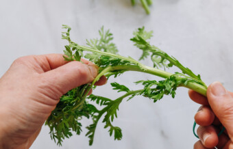 Stir-Fried Tong ho (Chrysanthemum Greens - 炒茼蒿) - The Woks of Life