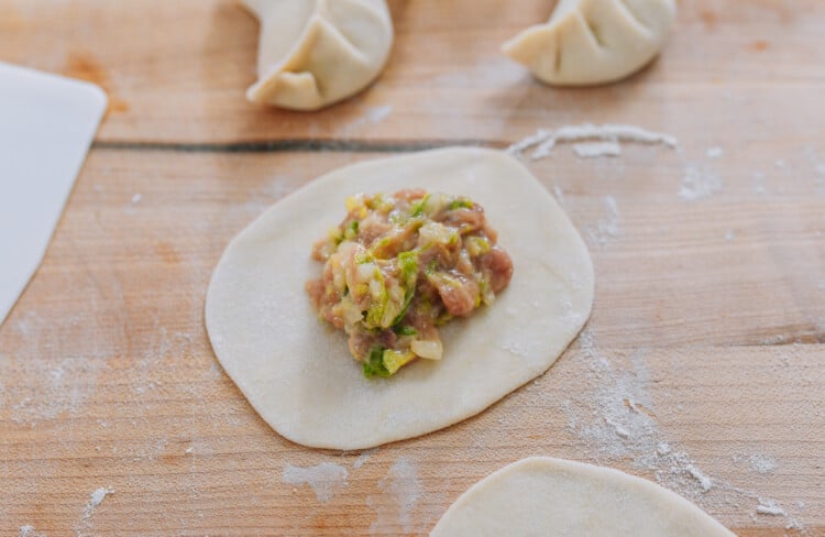 Chinese Chicken Dumplings - The Woks of Life