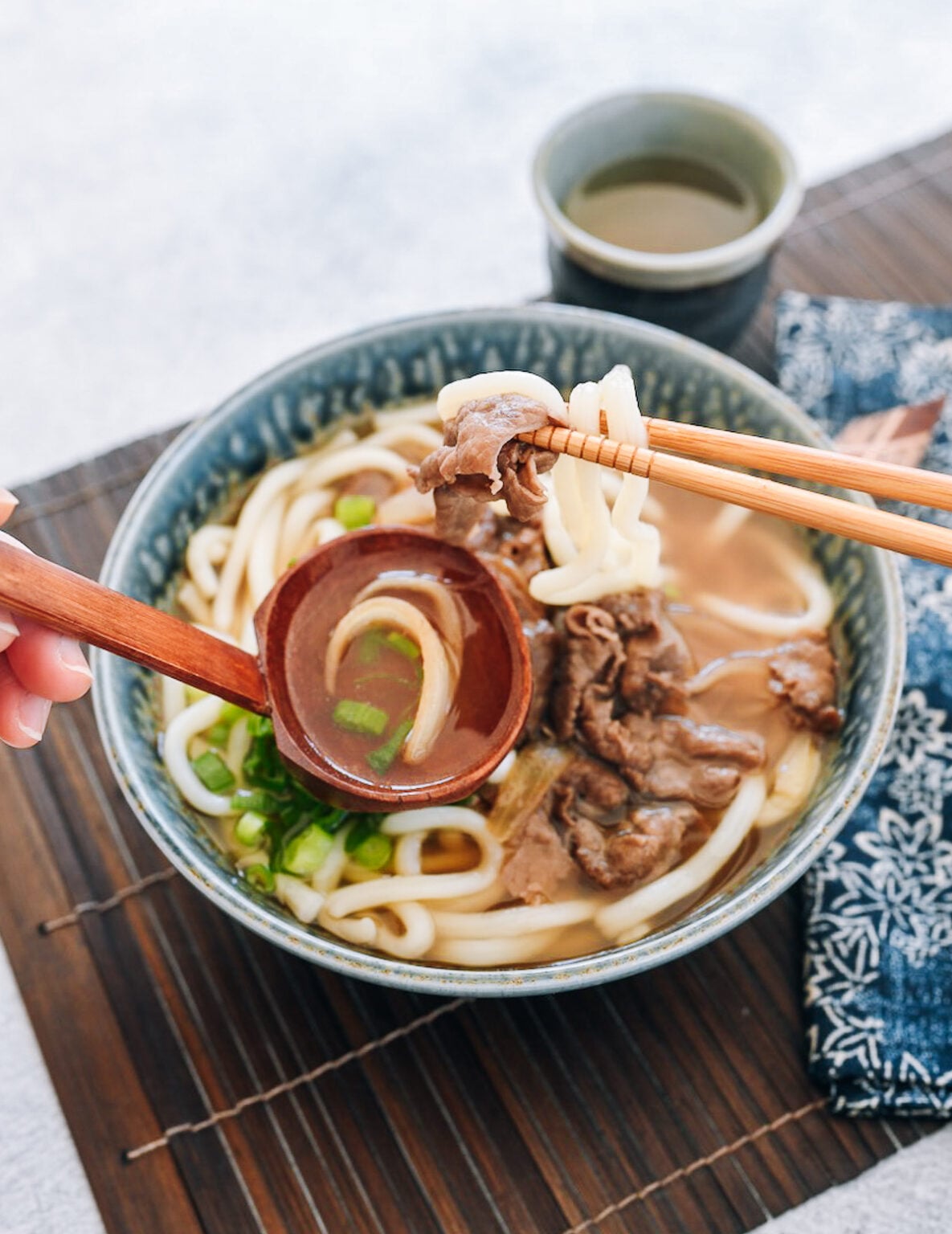 Beef Udon Noodle Soup (Niku Udon) - The Woks of Life